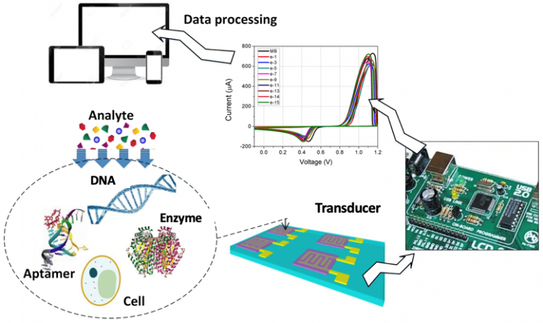 Biosense | Theme Biosensors